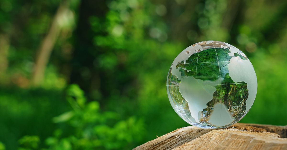 環境問題とは？主な問題と要因を解説。できることを始めてみよう！｜天然水ウォーターサーバーはプレミアムウォーター